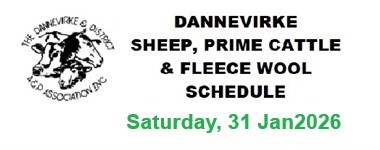 37 - One Ewe lamb in wool - Dannevirke A&P Show 2026 - LIVESTOCK