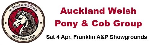 3 - Step One (Lead Rein) - Pony most suited to A&P events - AWPCG 2026 ...